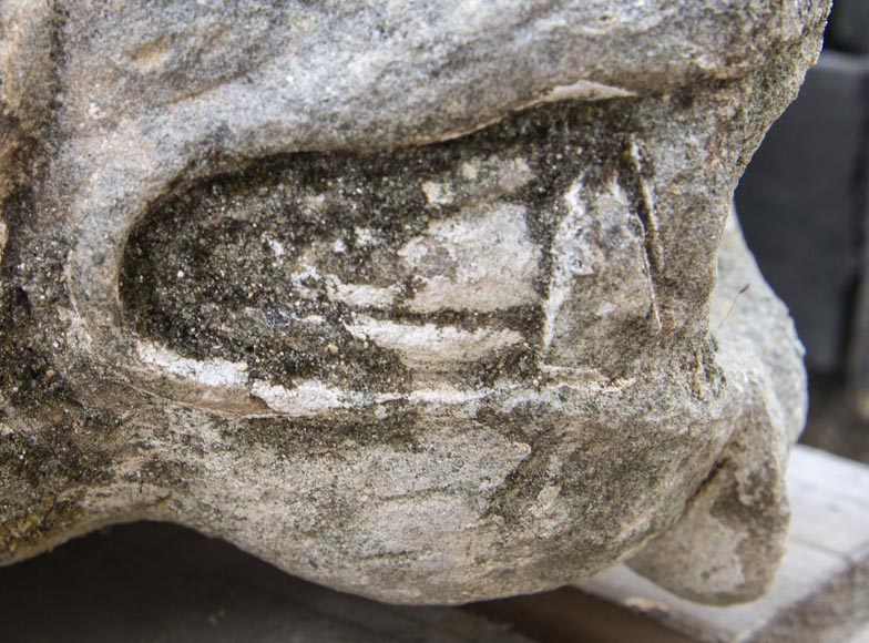 Tiger's head, old stone gargoyle - Monumental and structures